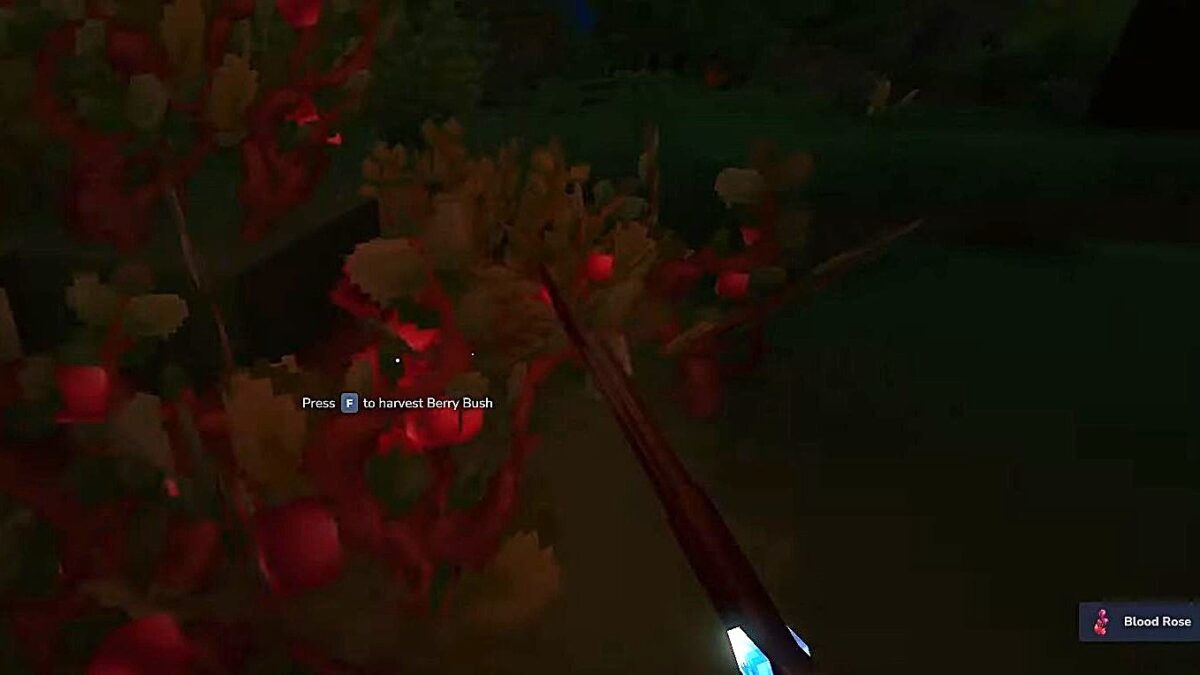 Hytale : Comment trouver les Blood Roses sans galérer